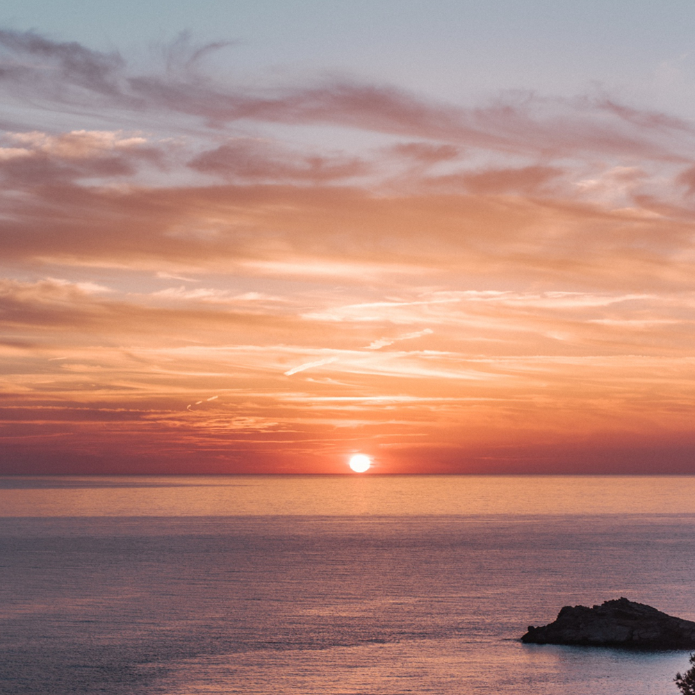 How Spring Light Impacts Mood & Energy – The Patch Collection